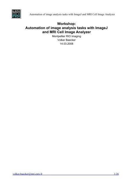 Workshop: Automation of image analysis tasks with ImageJ and MRI ...