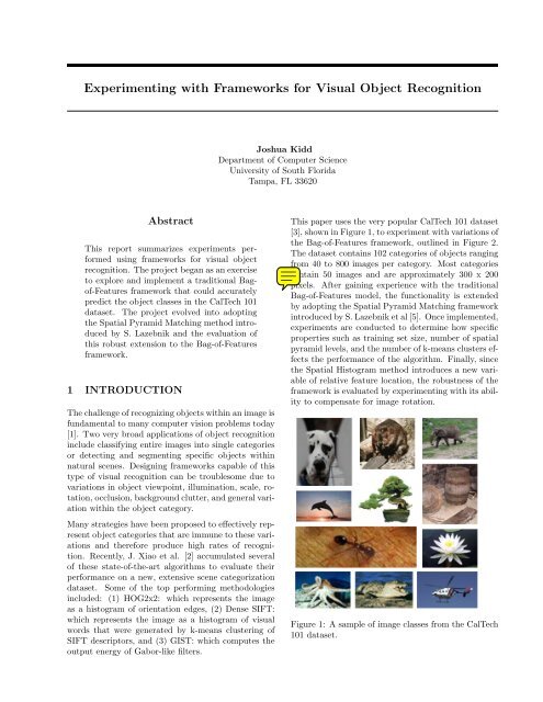 Experimenting With Frameworks For Visual Object Recognition
