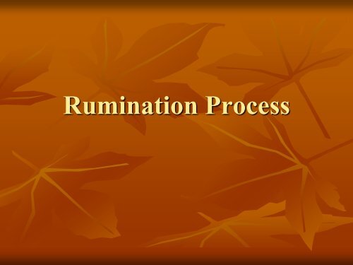 Rumination Process
