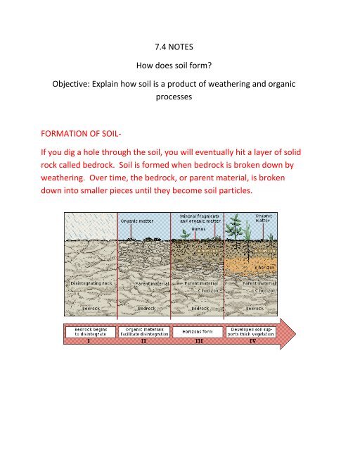 7.4 NOTES How does soil form? Objective: Explain how soil is a ...