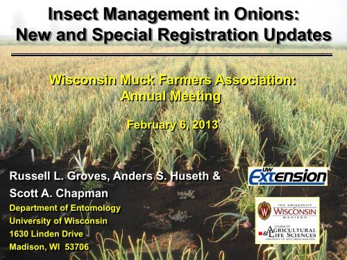 Insect management in onions