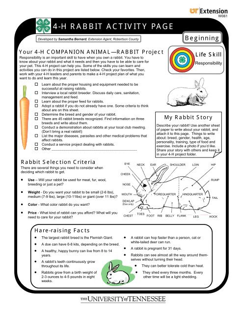 4-H RABBIT ACTIVITY PAGE - Cooperative Extension