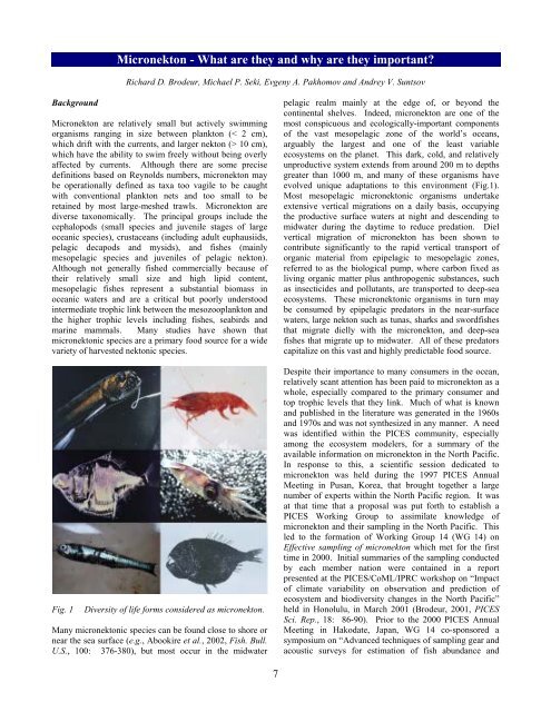 Micronekton - What are they and why are they important? - PICES