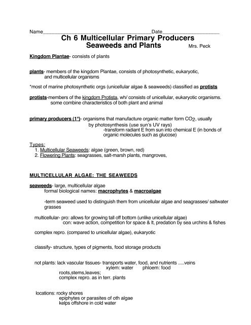 Ch 6 Multicellular Primary Producers Seaweeds and Plants