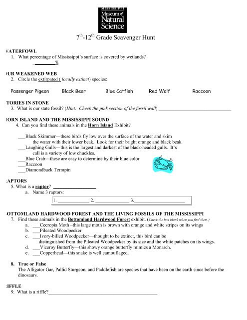 7th-12th Grade Scavenger Hunt