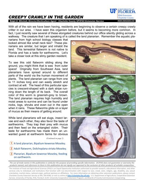 Land Planarian Flatworm - Charlotte County Cooperative Extension