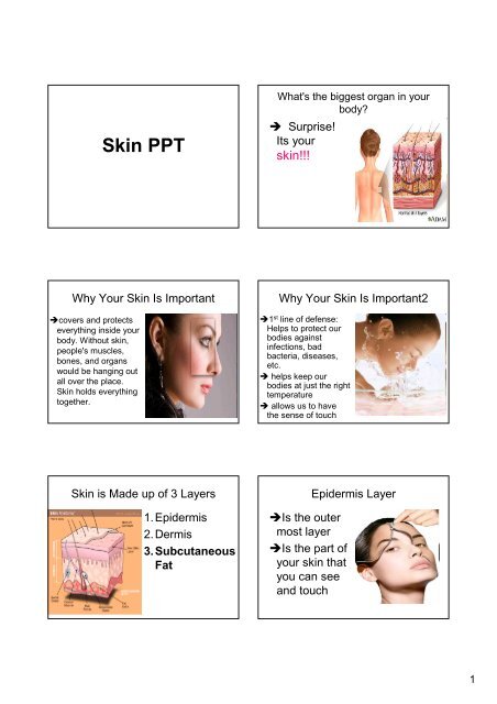 Skin PPT - Saint Leo the Great School Fairfax VA