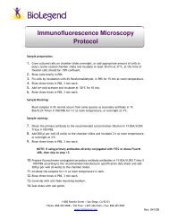 Cell Surface Immunofluorescence Staining Protocol - BioLegend