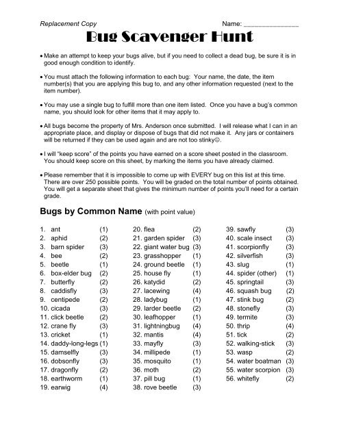 Bug Scavenger Hunt