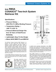 COSASCO Two-Inch System Access Fitting Assemblies - Rohrback ...