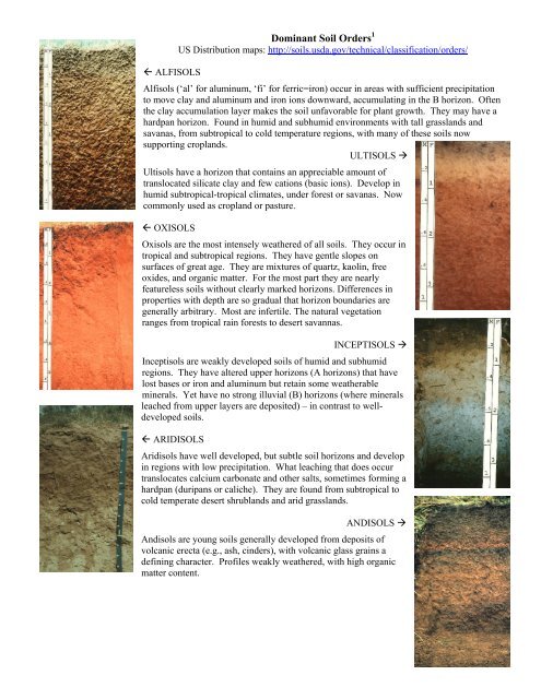 Dominant Soil Orders1