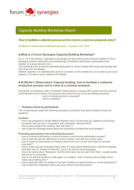Capacity Building Workshop Report - Forum Synergies
