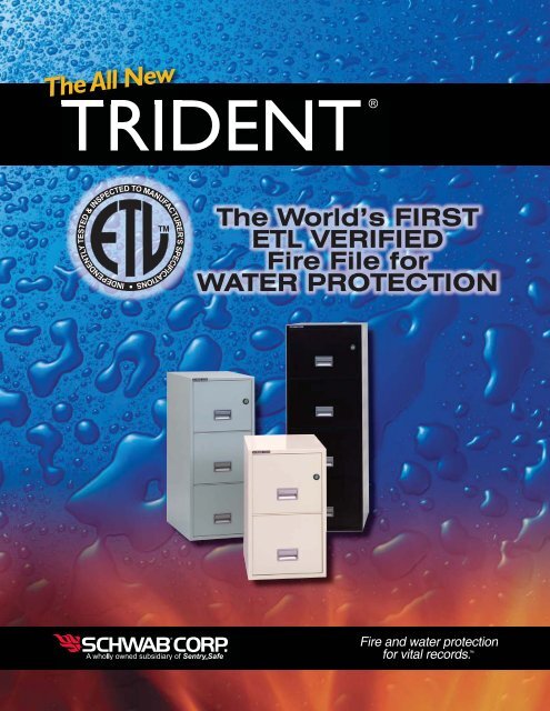 Schwab Trident Brochure in PDF!