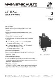 Datasheet - Magnet Schultz