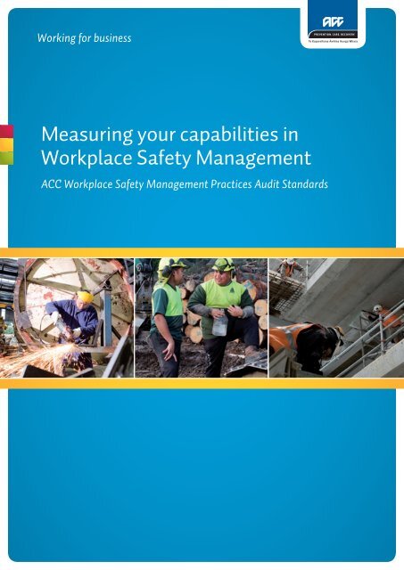 Measuring your capabilities in Workplace Safety Management - NZPIA