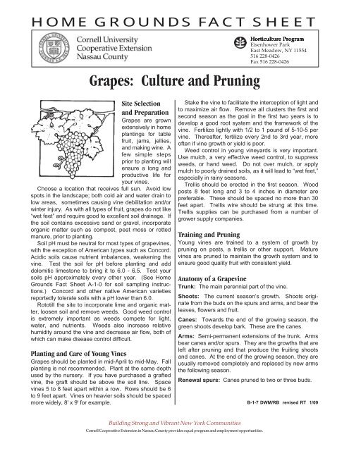 Grapes: Culture and Pruning - Cornell Cooperative Extension of ...