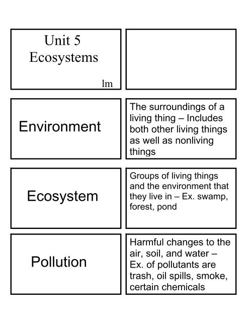 Unit 5 Vocabulary Words