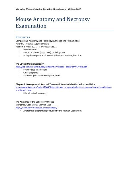 Mouse Anatomy and Necropsy Examination