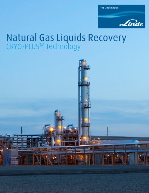Natural Gas CRYO-PLUS Brochure (PDF 6.18 MB) - Linde Process ...