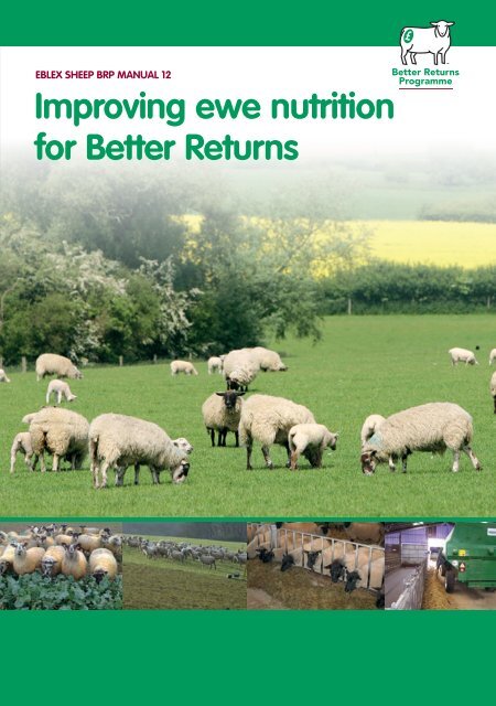brp-manual-12-Improving-ewe-nutrition-for-better-returns-281114