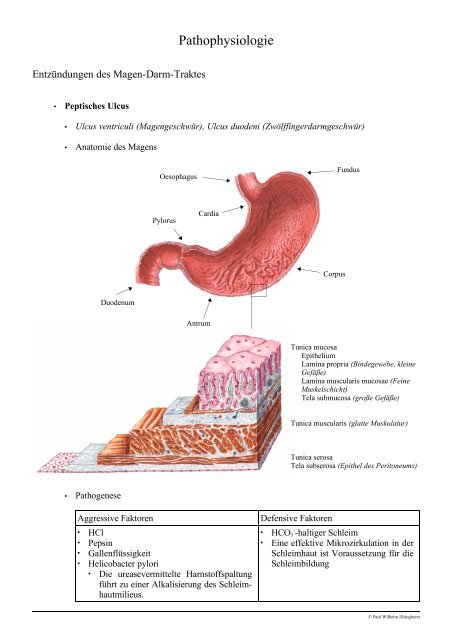 Vorlesung Pathophysiologie