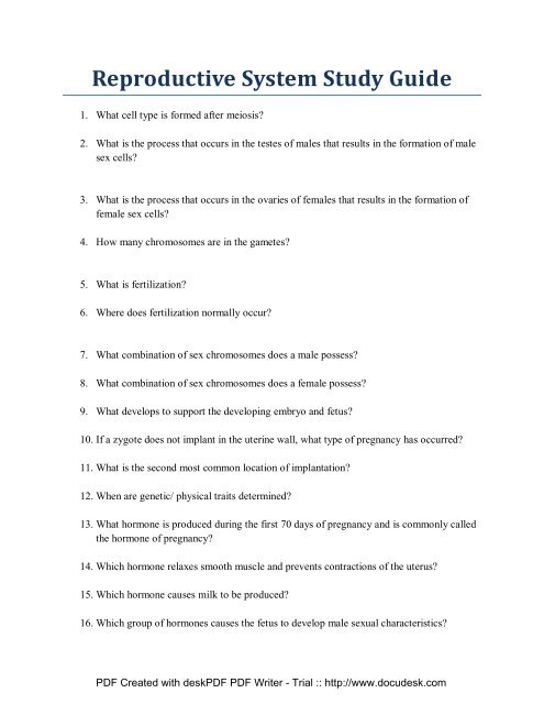 Male Reproductive System Study Guide
