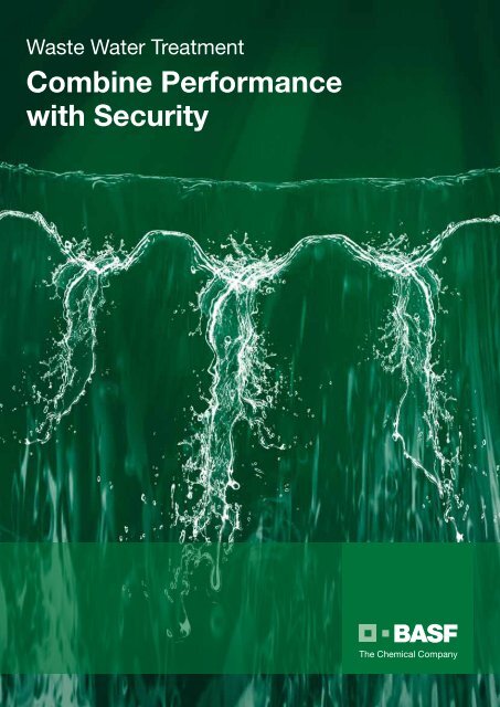 Brochure - the Performance Chemicals division - BASF.com