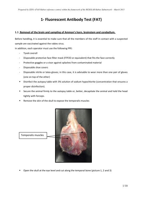 1- Fluorescent Antibody Test (FAT) - fao ectad bamako
