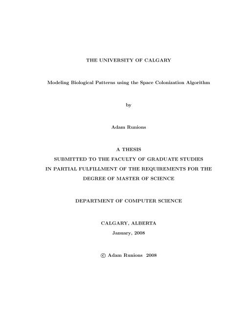Modeling Biological Patterns Using The Space Colonization Algorithm