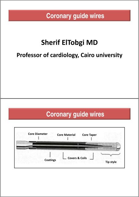 Coronary guide wires