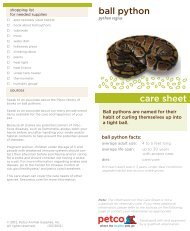 Burmese Python Care Sheet