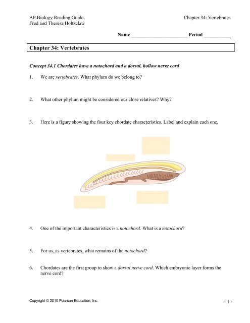 Chapter 34: Vertebrates