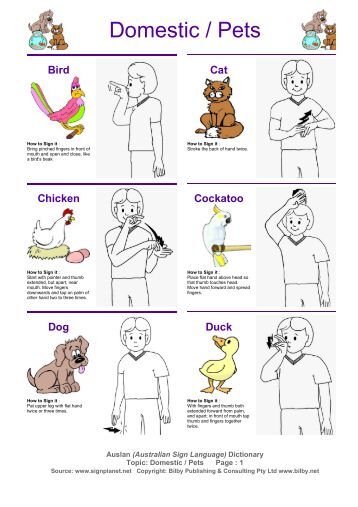 Dog Donkey How to Sign it