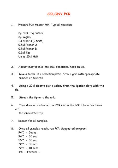 Colony PCR to screen for positive clones