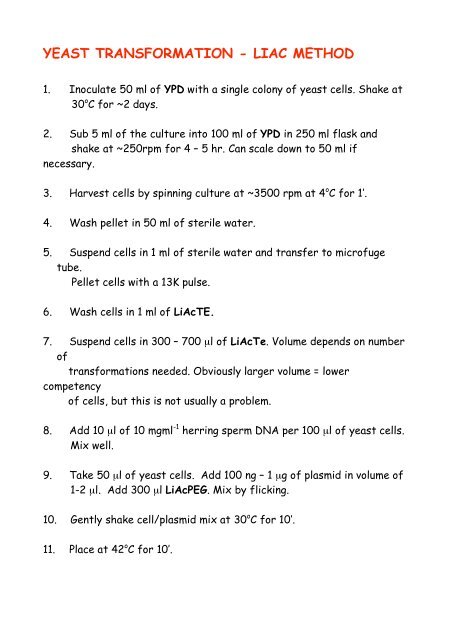 YEAST TRANSFORMATION - LIAC METHOD