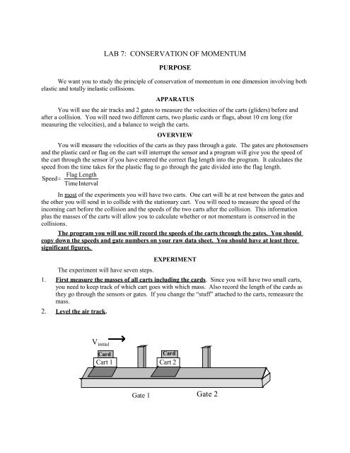 LAB 6: CONSERVATION OF MOMENTUM - Physics