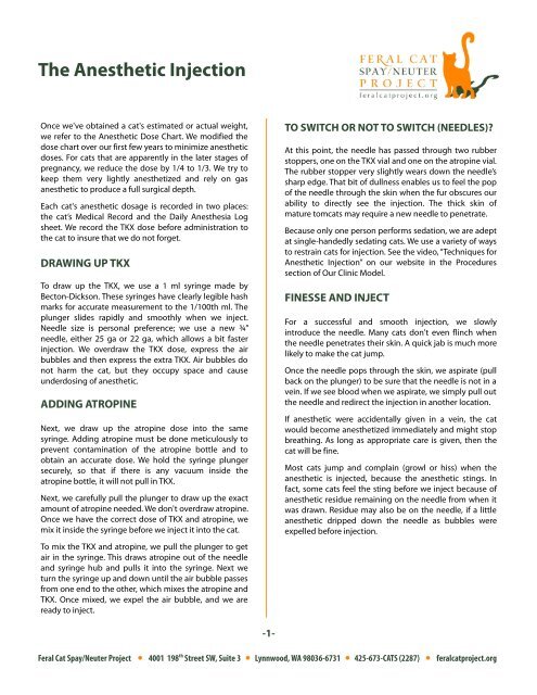 The Anesthetic Injection - Feral Cat Project