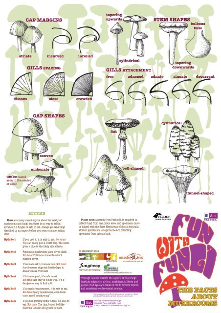 View Fun with Fungi – The Facts about Mushrooms - RiAus