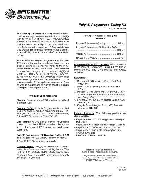 Protocol for Poly(A) Polymerase Tailing Kit