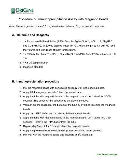 Ripa Buffer Recipe For Immunoprecipitation | Bryont Blog