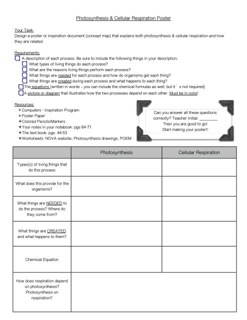 Photosynthesis And Cellular Respiration Poster