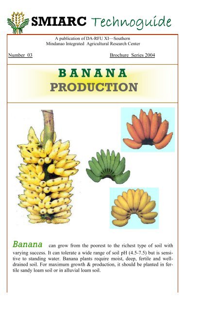 Banana Production
