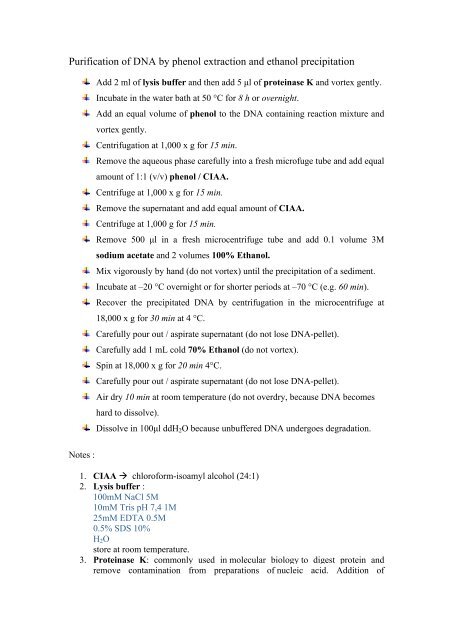 Purification of DNA by phenol extraction and ethanol precipitation