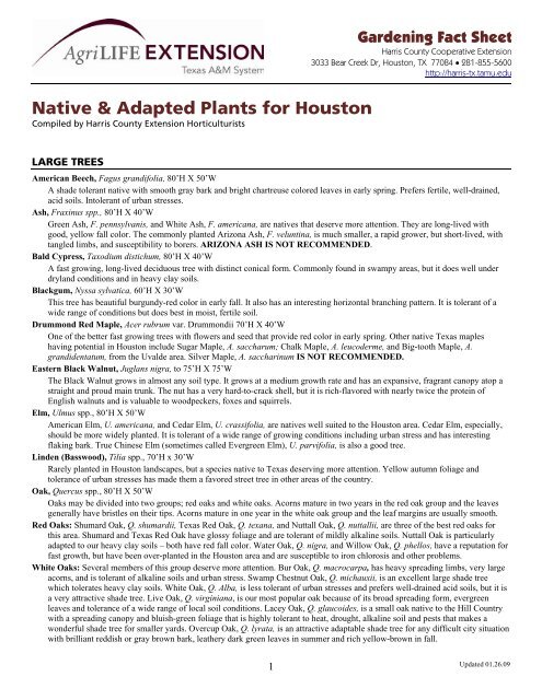 Native & Adapted Plants for Houston - Texas AgriLife Extension ...