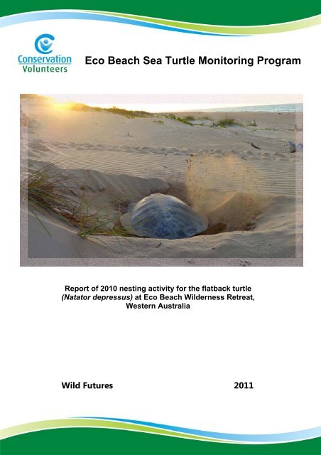 Eco Beach Sea Turtle Monitoring Program