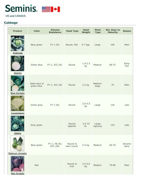 Seminis ~ Products ~ Products ~ Cabbage