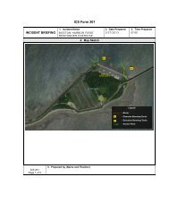 INCIDENT BRIEFING (ICS FORM 201)