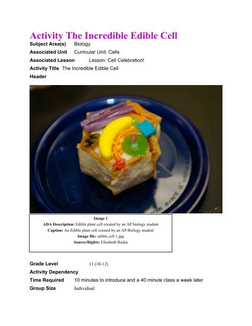 TE Activity Edible Cell - GK-12 Program at the University of Houston
