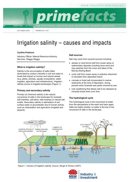 Irrigation salinity â causes and impacts - NSW Department of ...