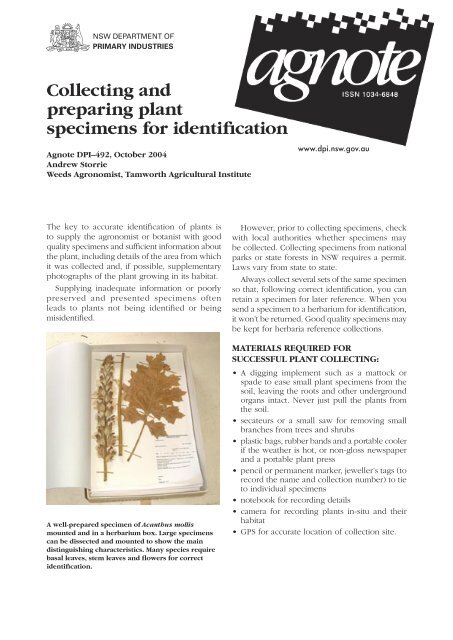 Collecting and preparing plant specimens for identification.pdf